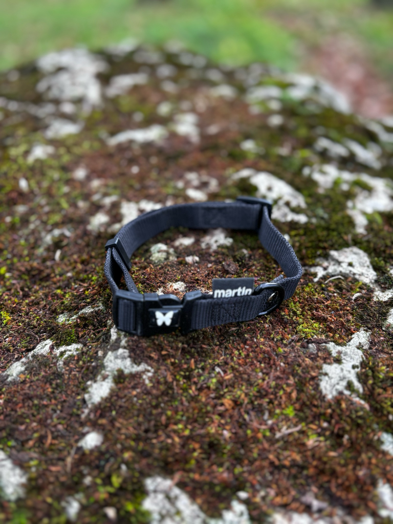 Collier 36-54cm | Boutique Seconde Patte