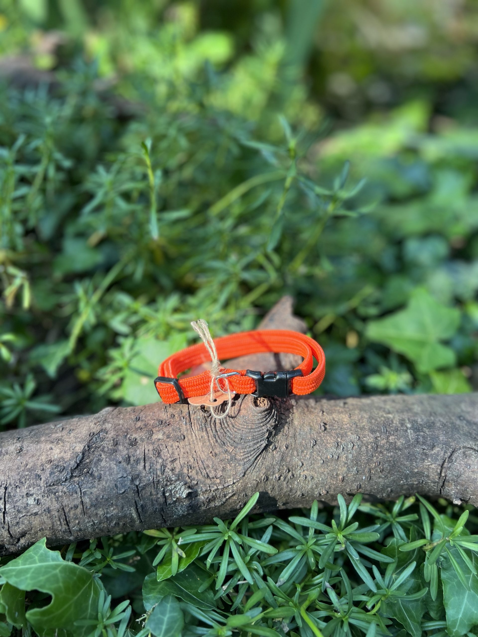 Collier orange 20-35cm | Boutique Seconde Patte